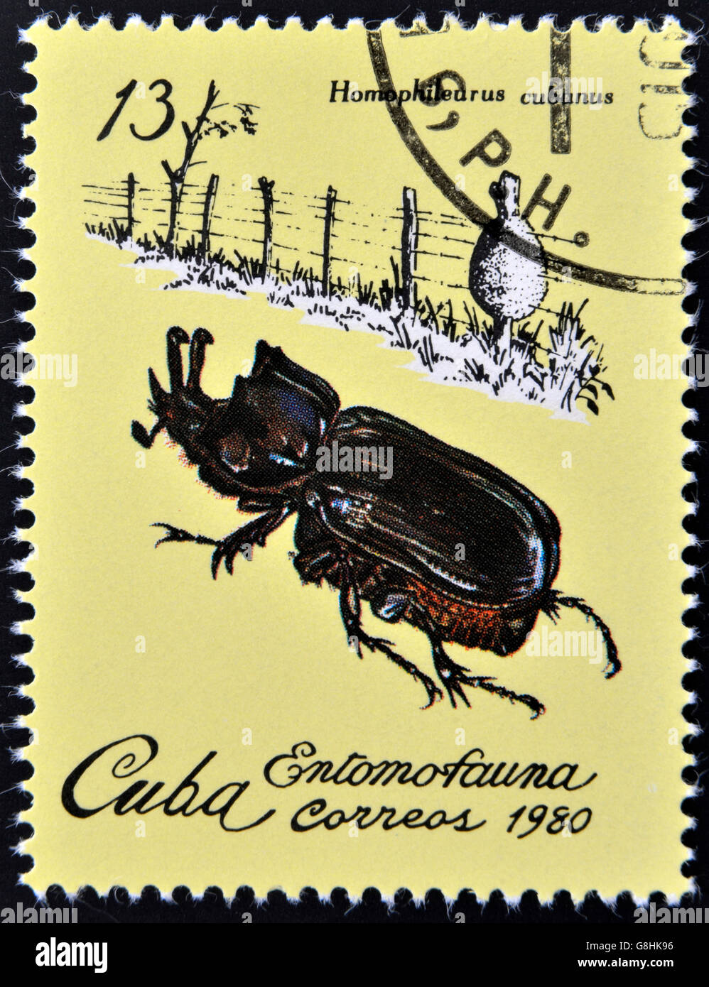 CUBA - CIRCA 1980: A stamp printed in Cuba dedicated to Entomofauna ...
