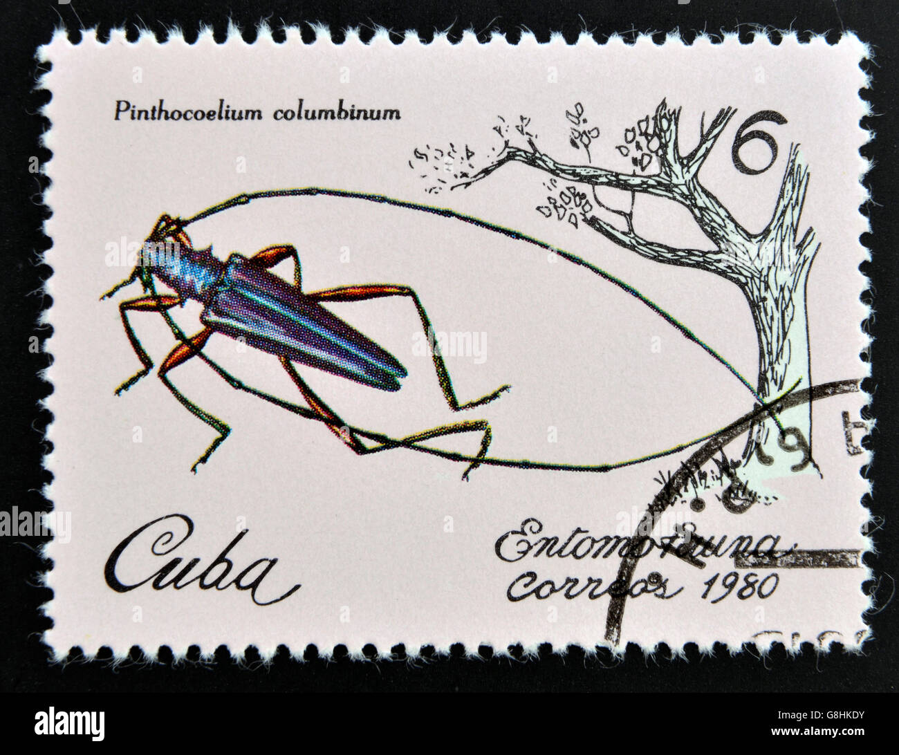 CUBA - CIRCA 1980: A stamp printed in Cuba dedicated to Entomofauna ...