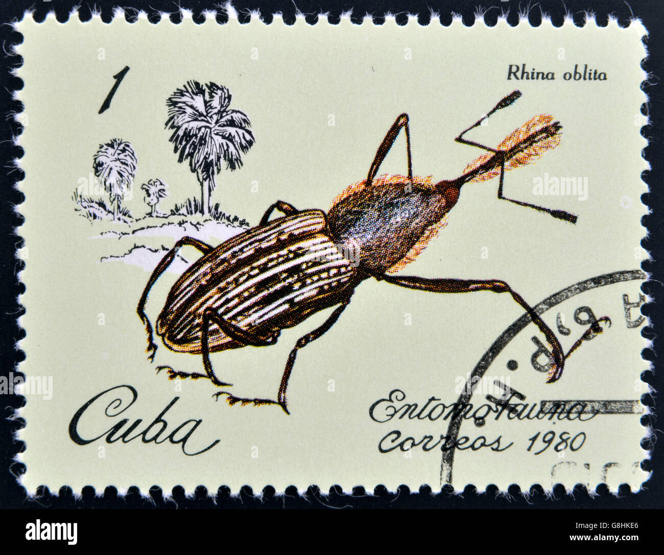 CUBA - CIRCA 1980: A stamp printed in Cuba dedicated to Entomofauna ...