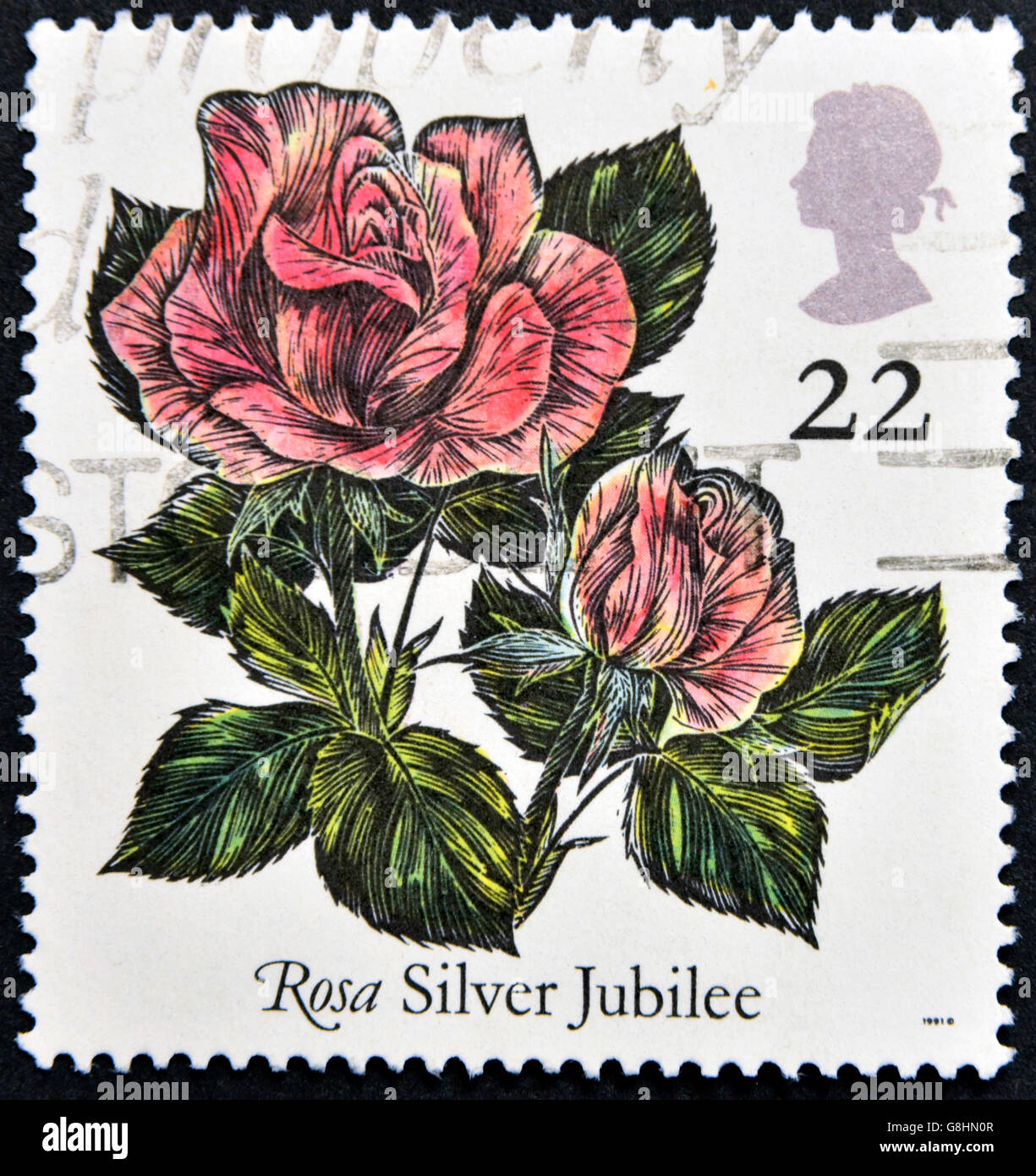 English rose stamp hi-res stock photography and images - Alamy