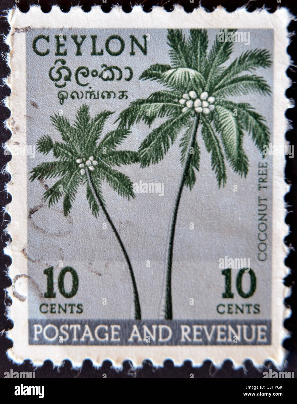 CEYLON - CIRCA 1951: A stamp printed in the Ceylon shows coconut tree ...