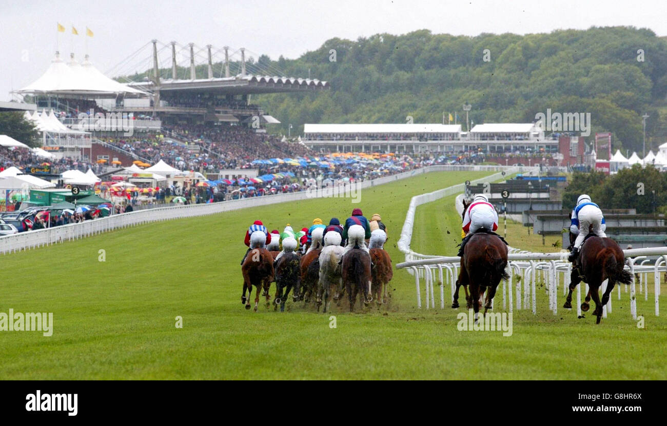 Goodwood races summer hi-res stock photography and images - Alamy