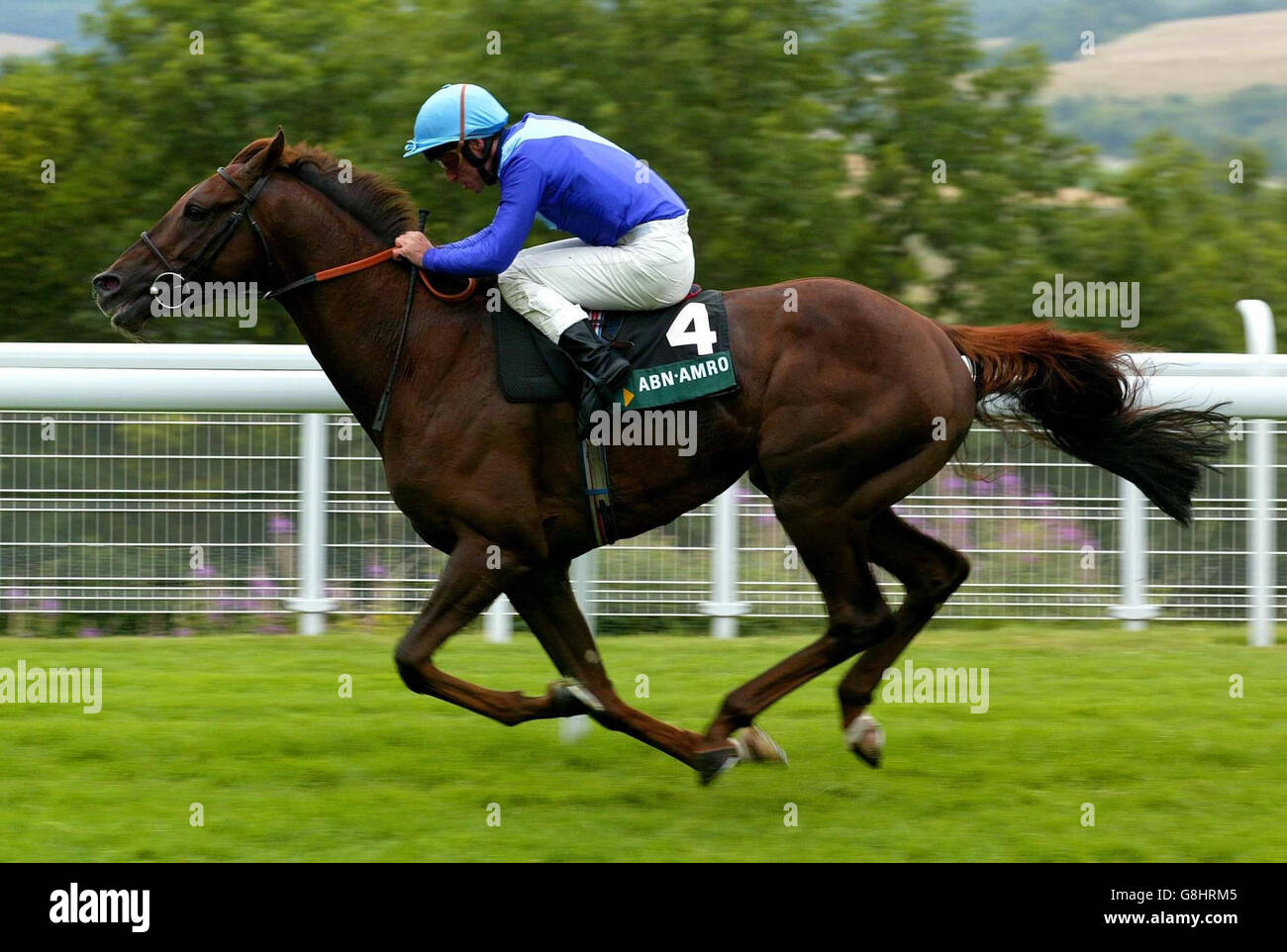 The Geezer and jockey Richard Quinn wins the ABN Amro Gordon Stakes on ...
