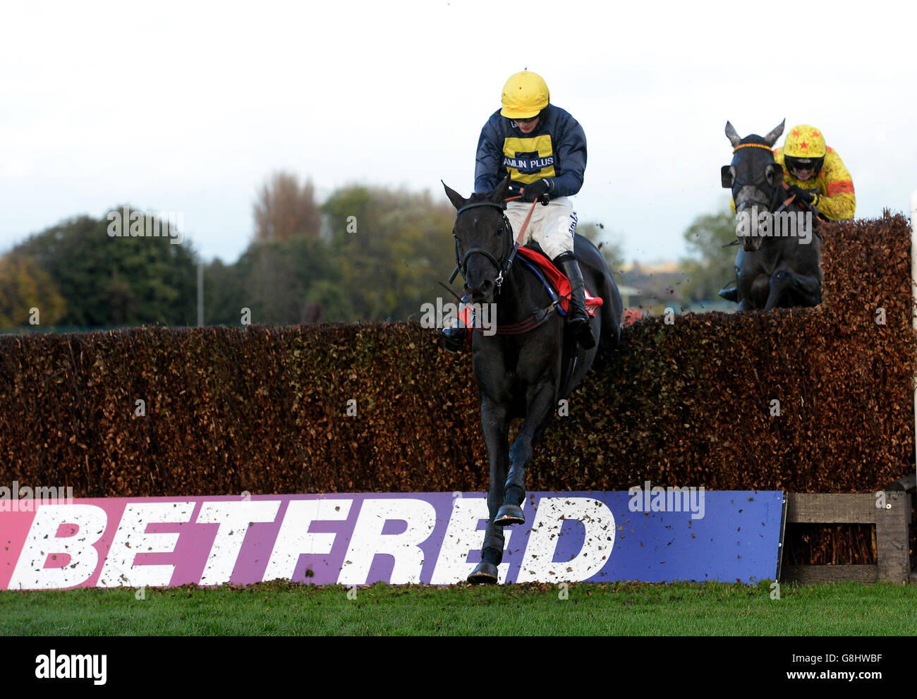 Full length horse racing signage branding brand sign hi-res stock ...