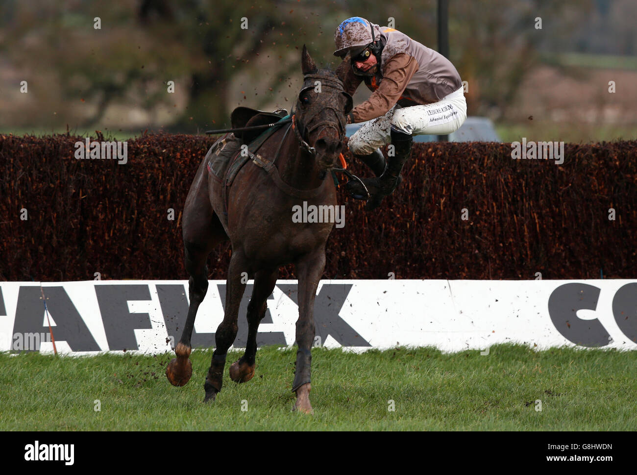 Jockey Mark Quinlan falls from It's Oscar in the Haygain Hay Steamers ...