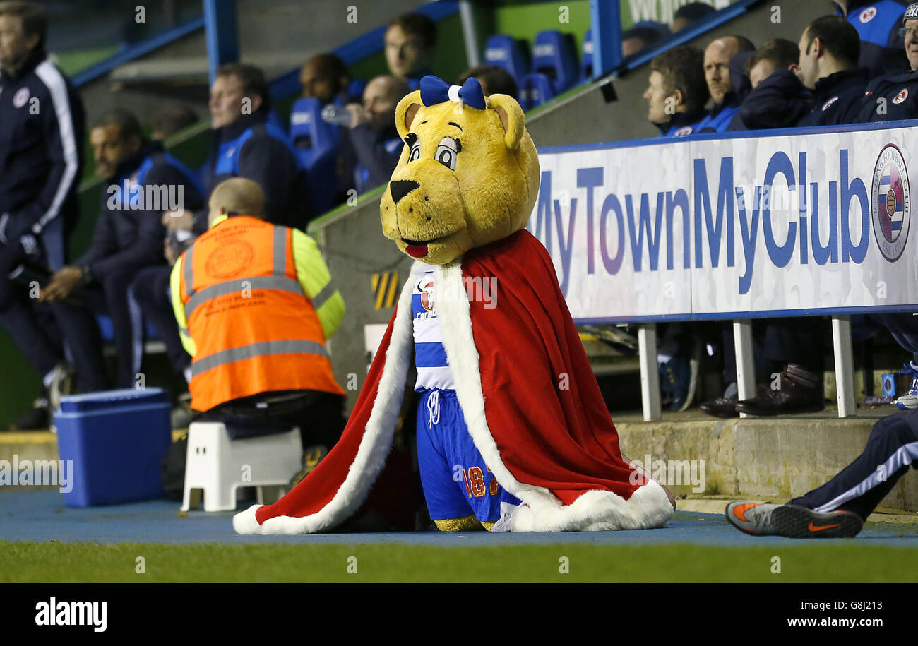 Reading mascot queensley royal watches the match from the sidelines hi ...