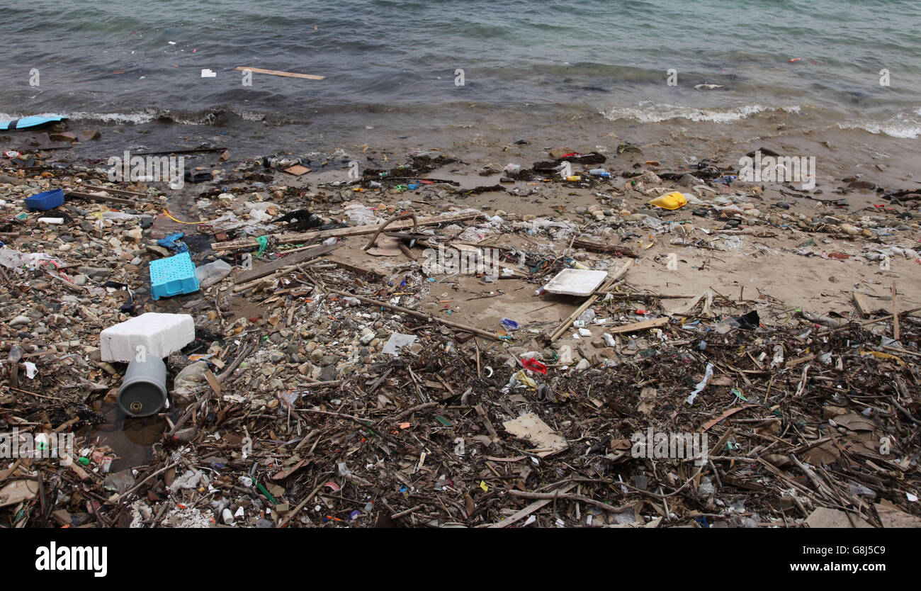 It's a photo of the pollution on the beach. We can see plastic garbage ...