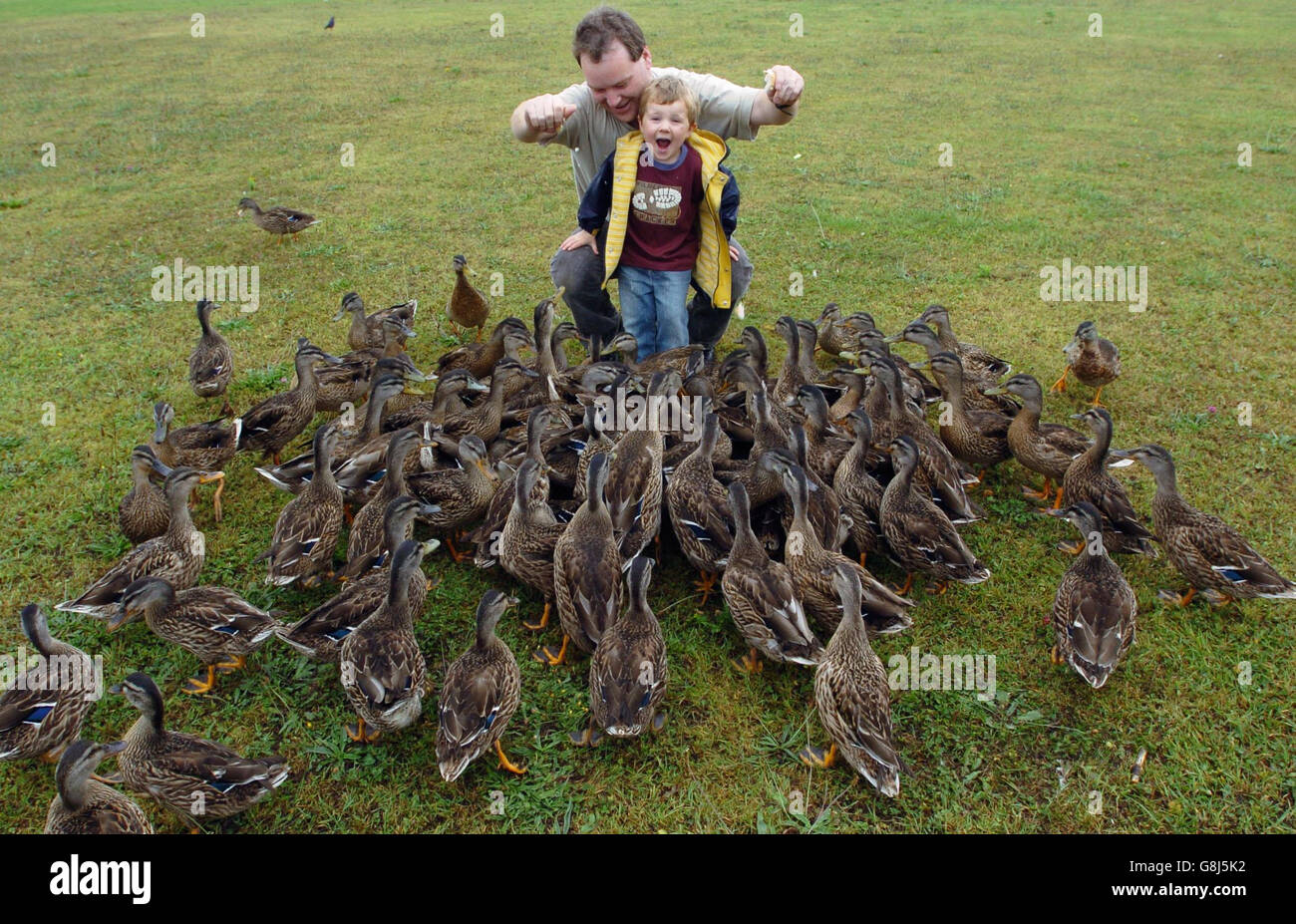 Kealan Hand feeding mallards with his father, Daragh Hand, before his ...