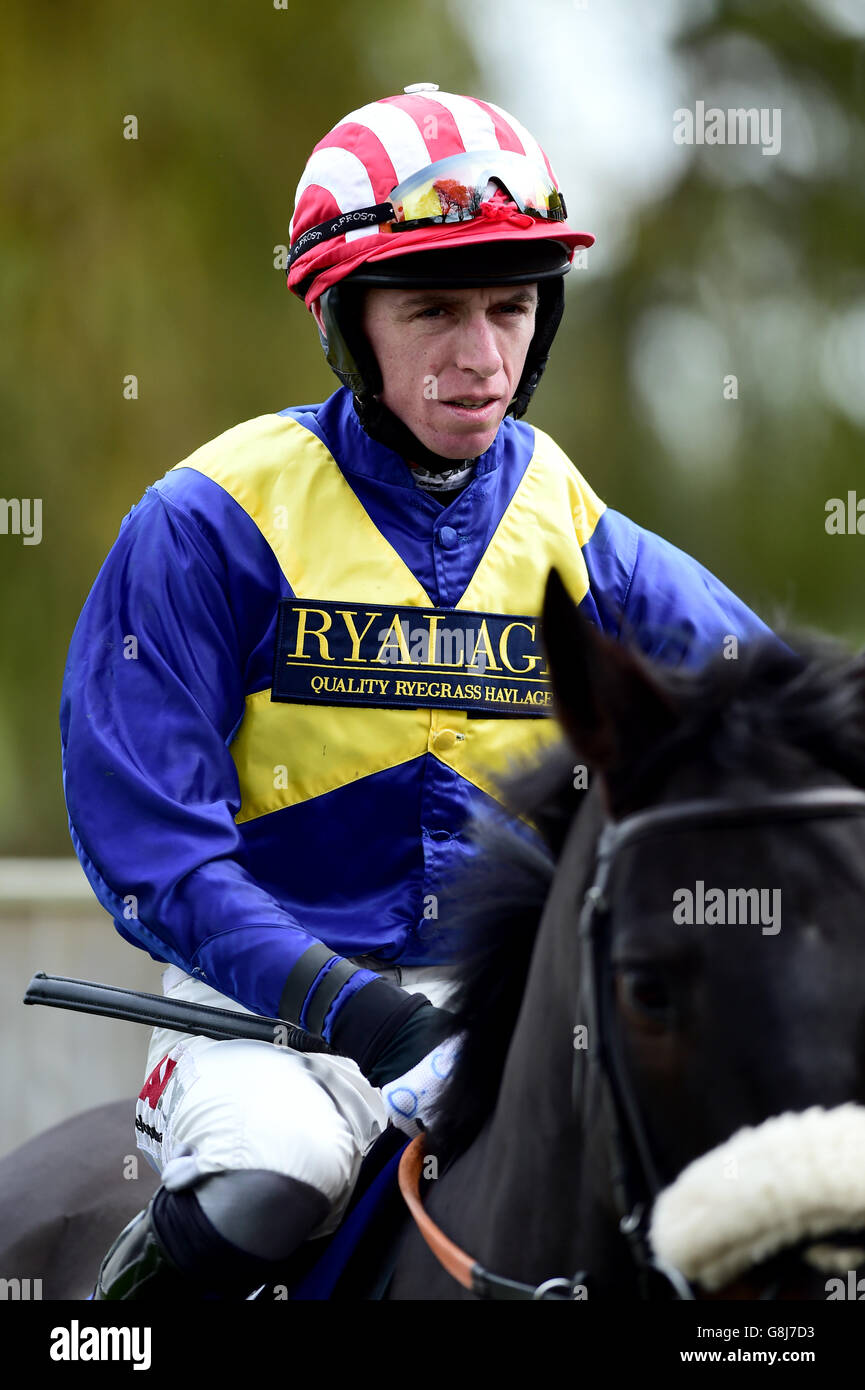 Fontwell park horses hi-res stock photography and images - Alamy