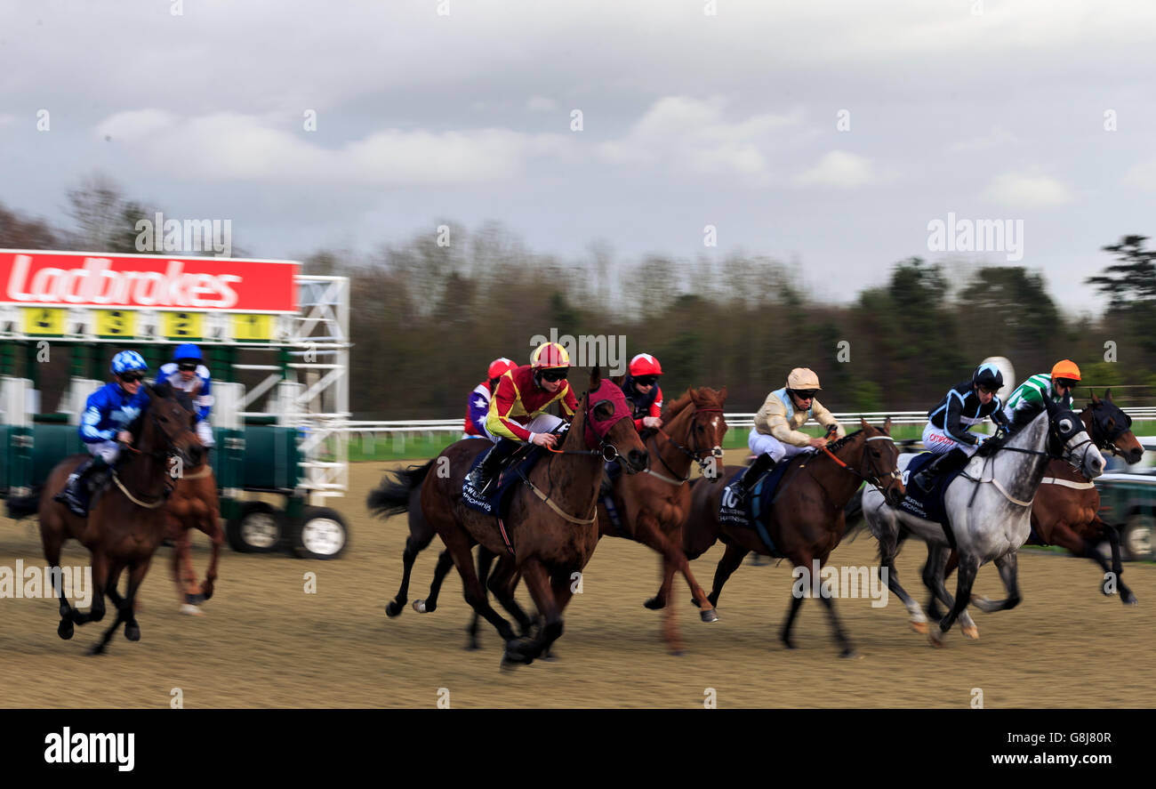 Stalls lingfield park racecourse hi-res stock photography and images ...