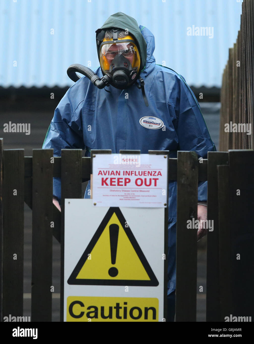 Bird cull hi-res stock photography and images - Alamy