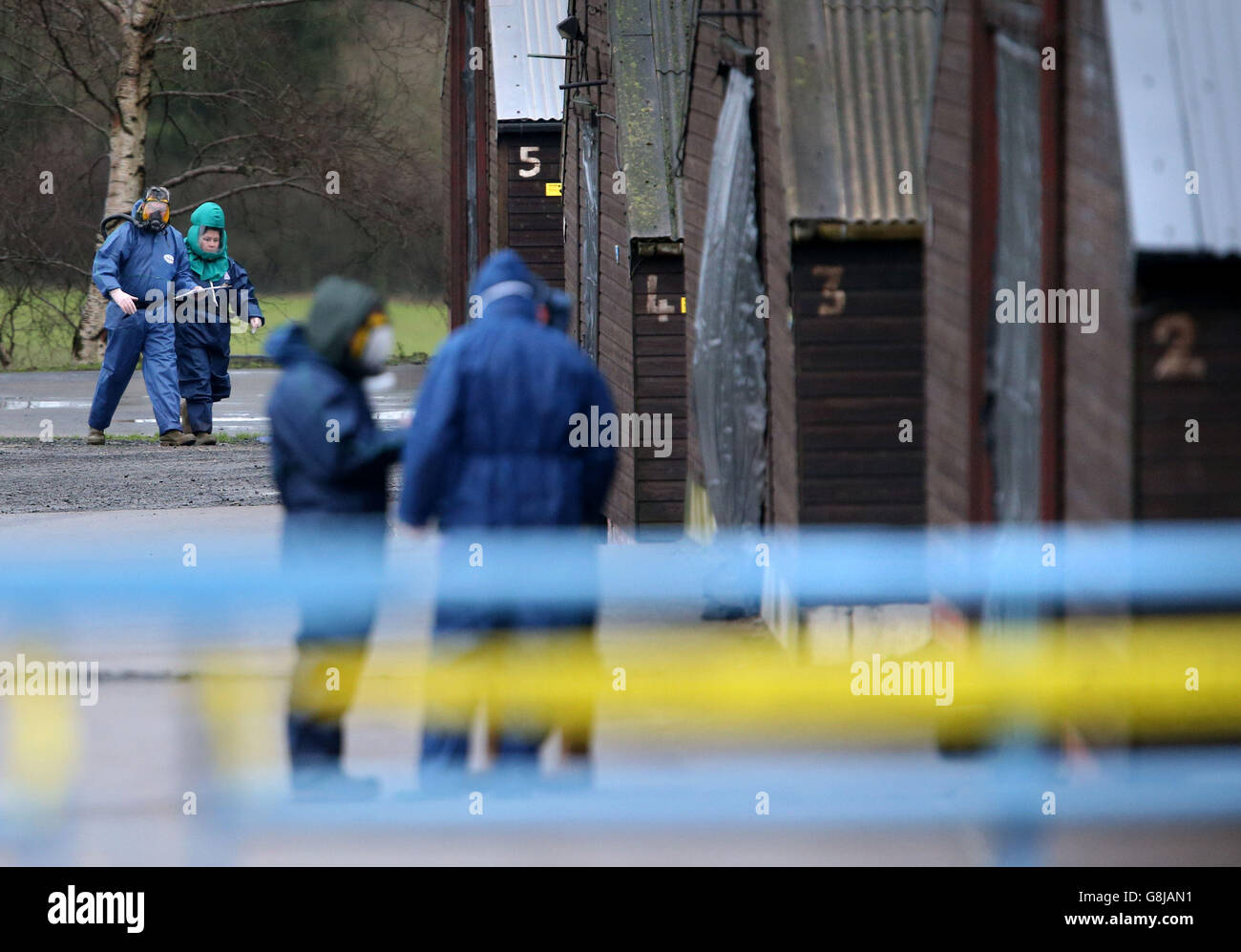 News environment birdflu hi-res stock photography and images - Alamy