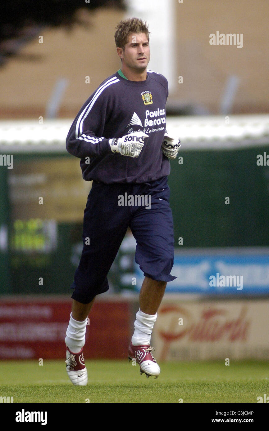 Soccer - Friendly - Yeovil Town v West Ham United - Huish Park. Steven ...