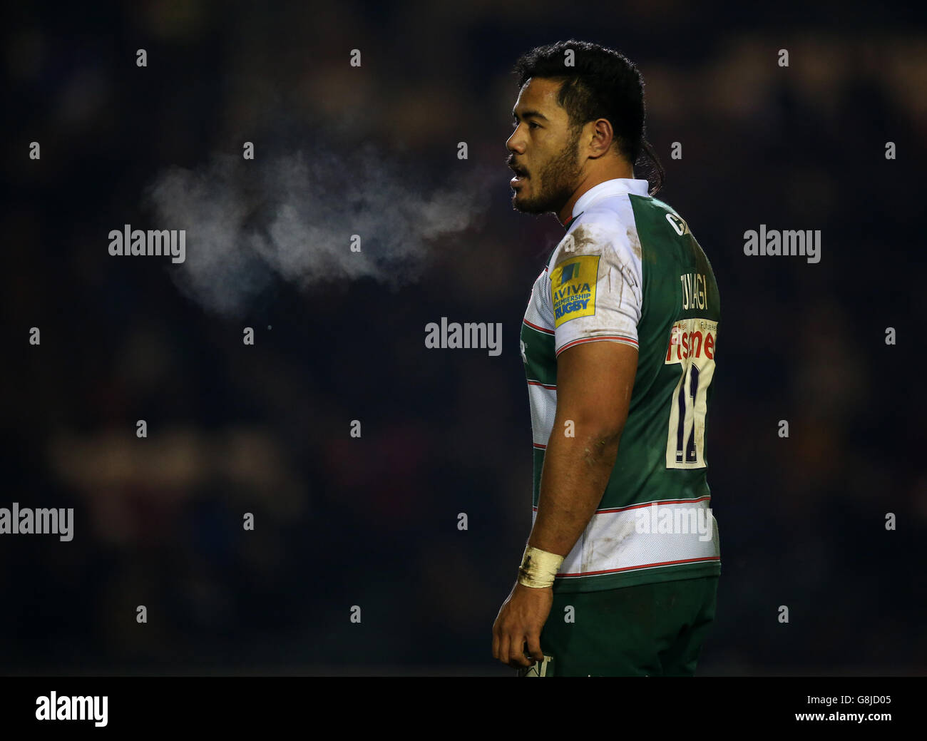 Four tigers hi-res stock photography and images - Alamy