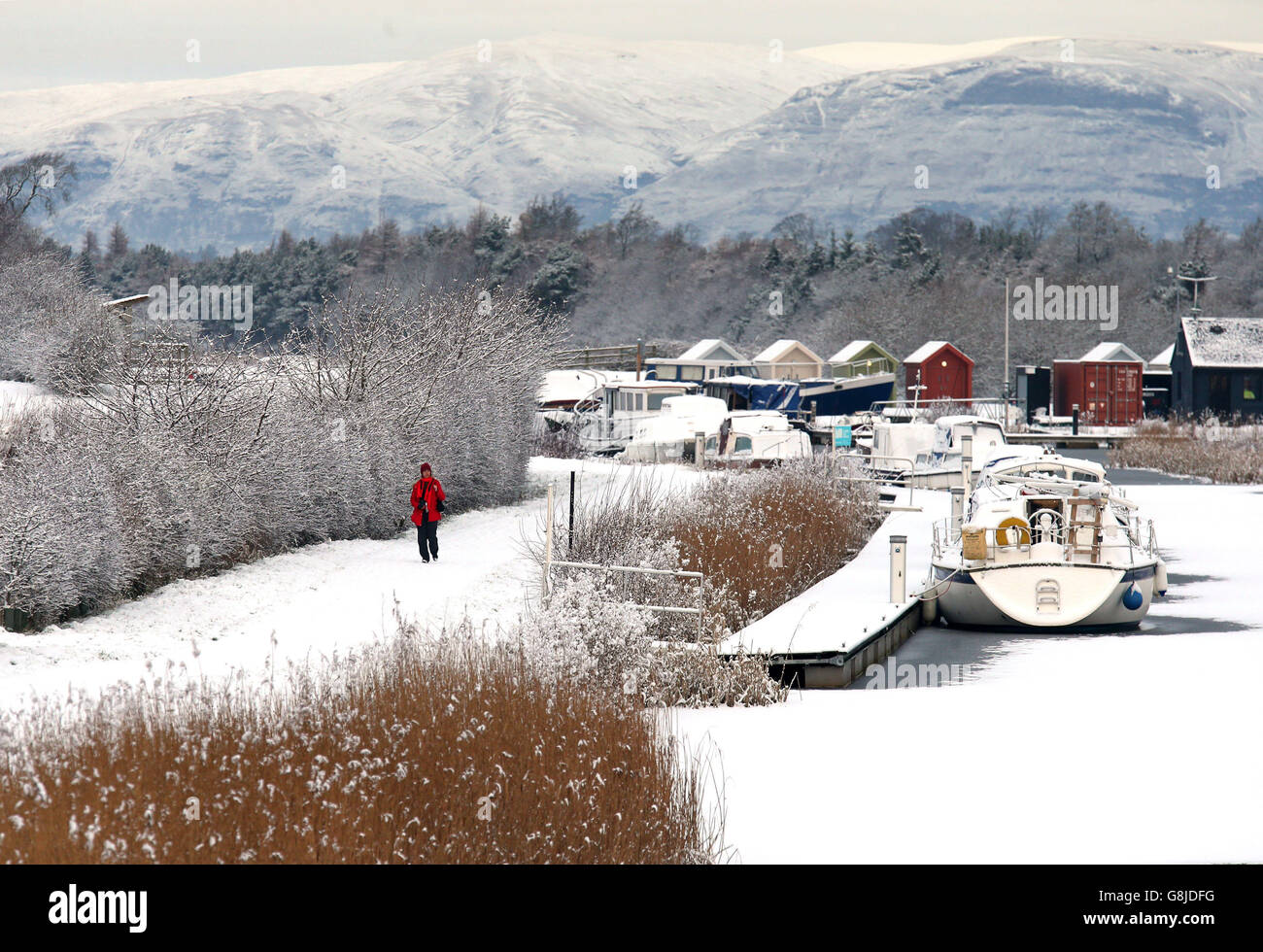 A person walks along the Forth and Clyde Canal near the Kelpies in ...