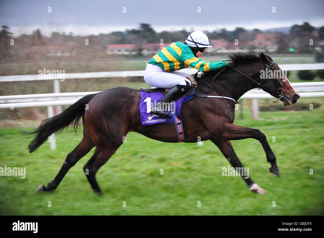Sarah obrien hi-res stock photography and images - Alamy