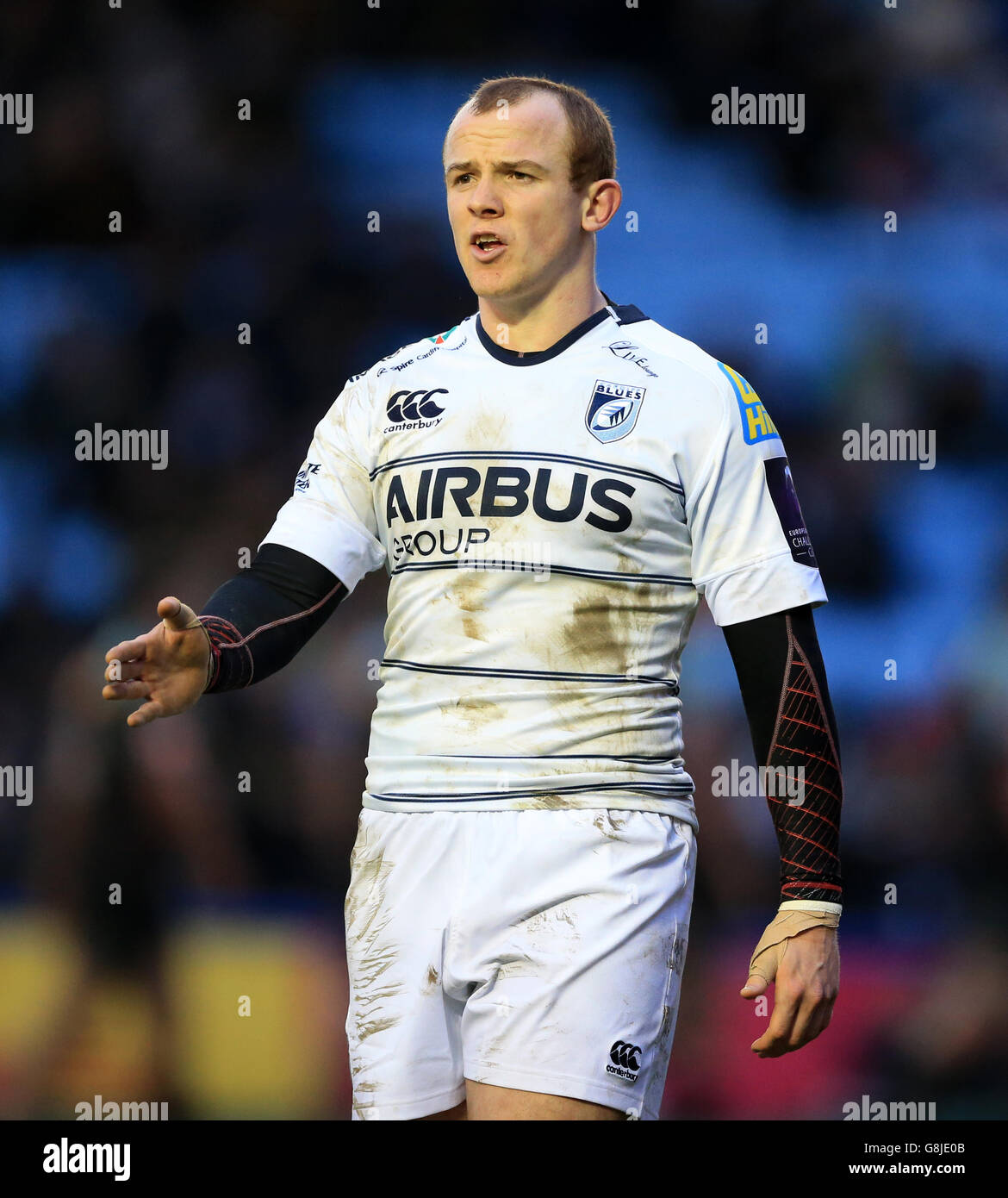 Dan fish cardiff hi-res stock photography and images - Alamy