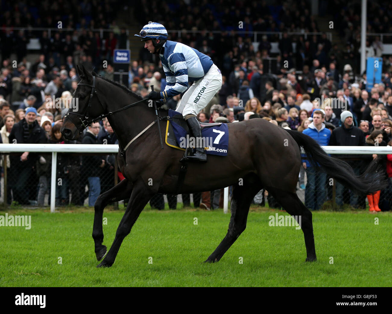 Kempton Park Races - William Hill Winter Festival - Day One Stock Photo ...