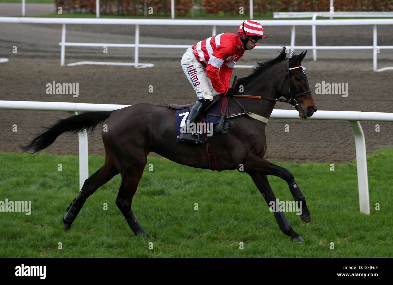 Kempton Park Races - William Hill Winter Festival - Day One Stock Photo ...