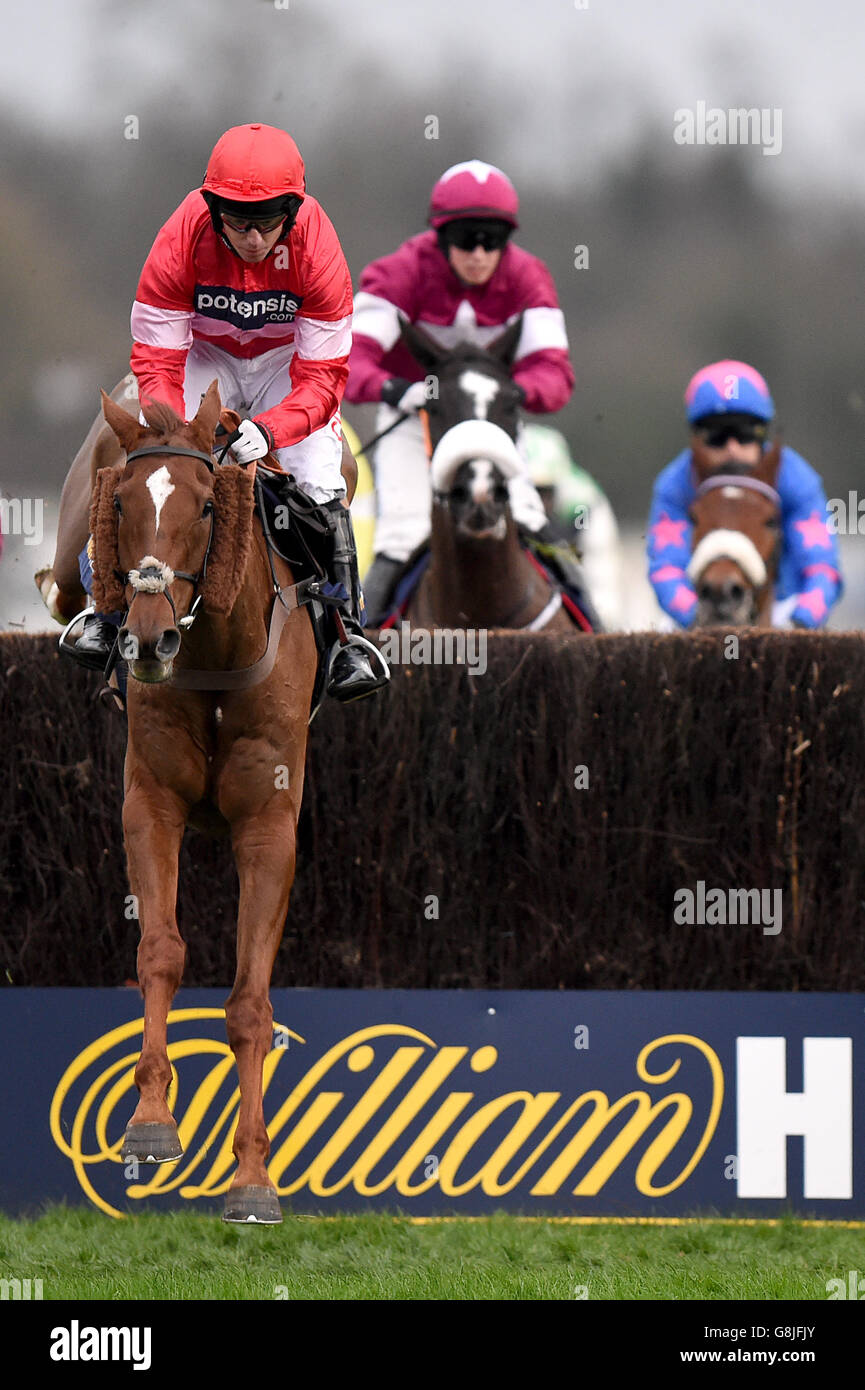 Kempton Park Races - William Hill Winter Festival - Day One Stock Photo ...