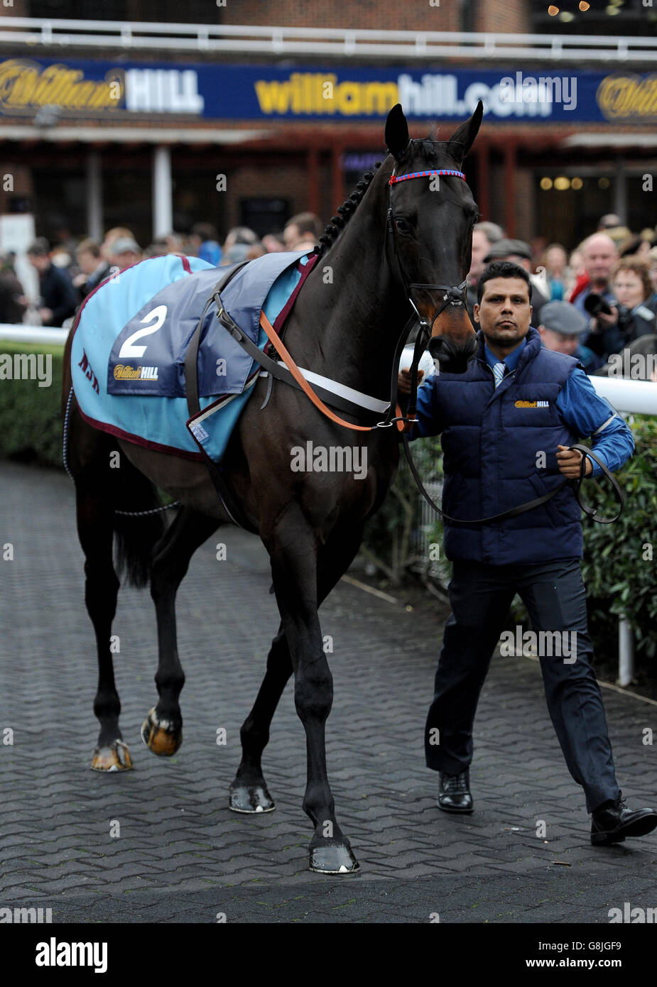 Sprinter sacre horse hi-res stock photography and images - Alamy