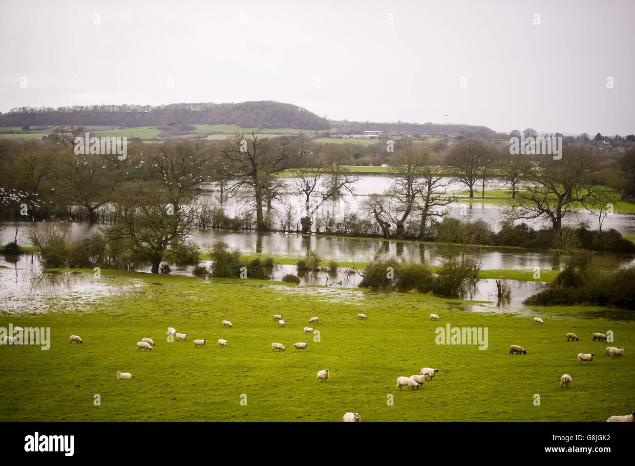 Prolonged rain hi-res stock photography and images - Alamy
