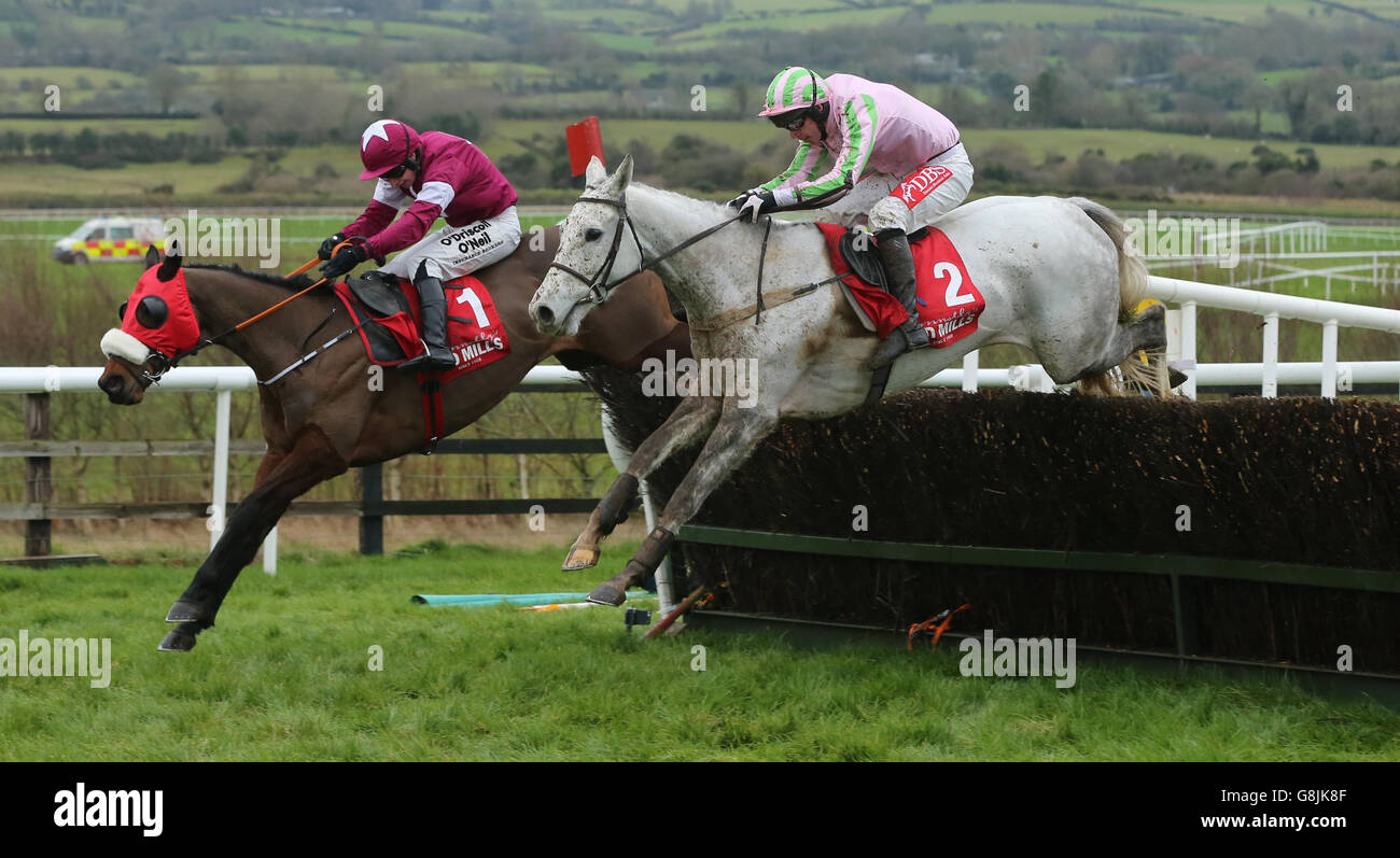 Punchestown races hi-res stock photography and images - Alamy