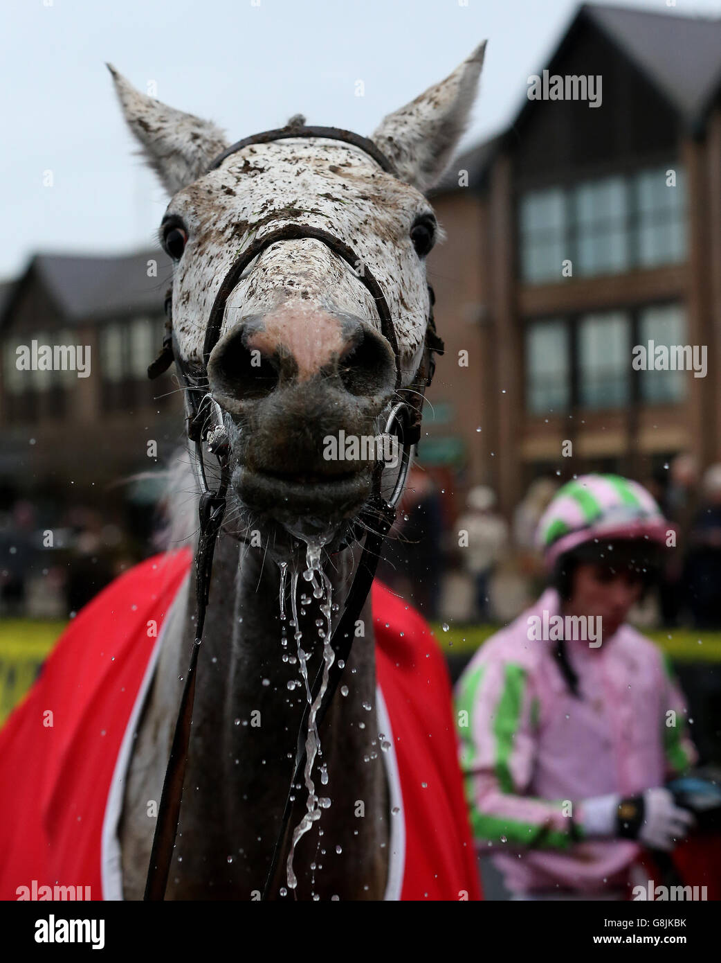 Jockey derek oconnor hi-res stock photography and images - Alamy