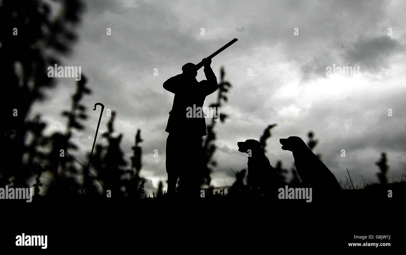 Grouse Shooting Season Photocall Stock Photo - Alamy
