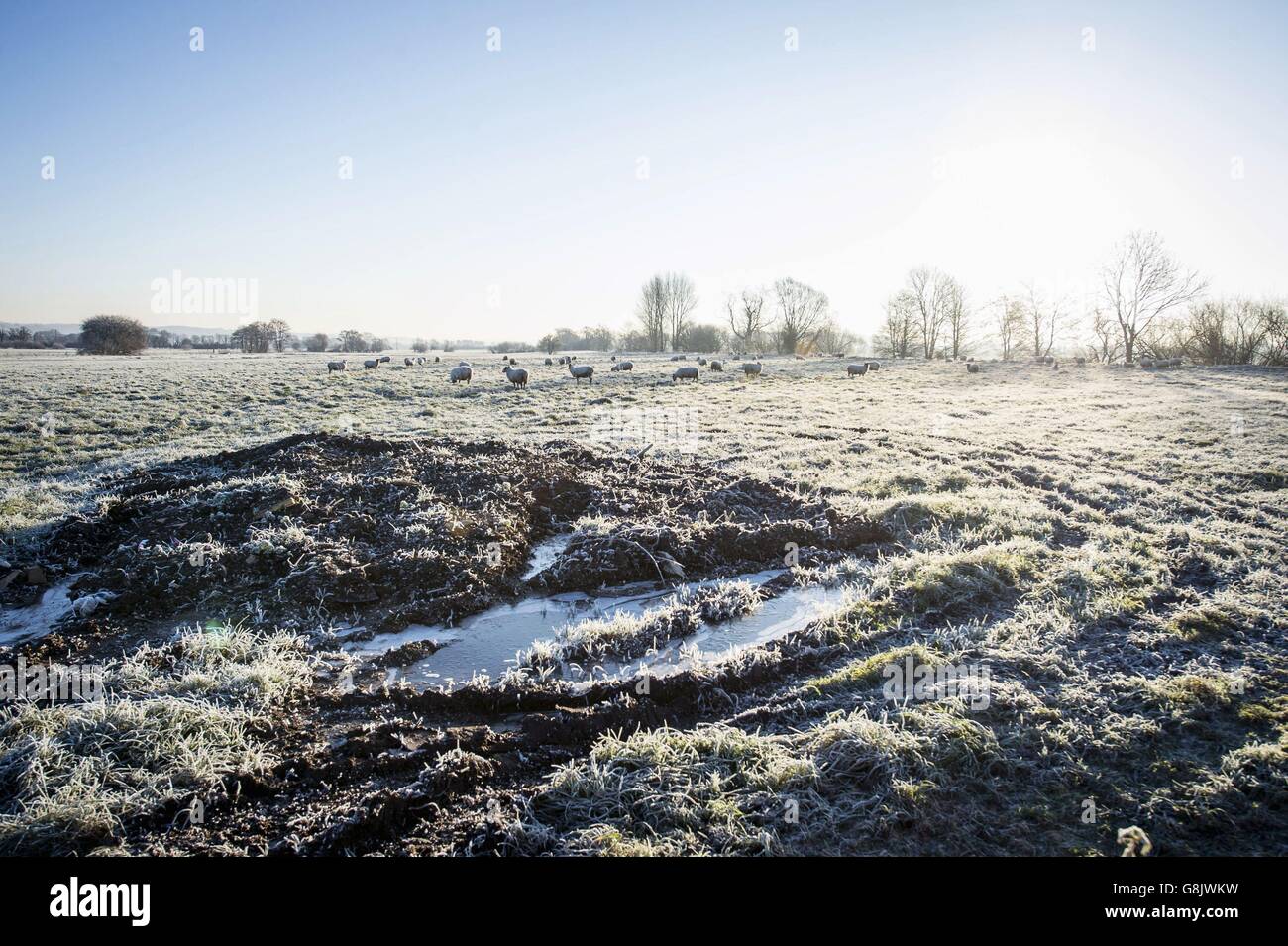 Frosted over fields around Glastonbury Tor, Somerset, as Britain awoke ...