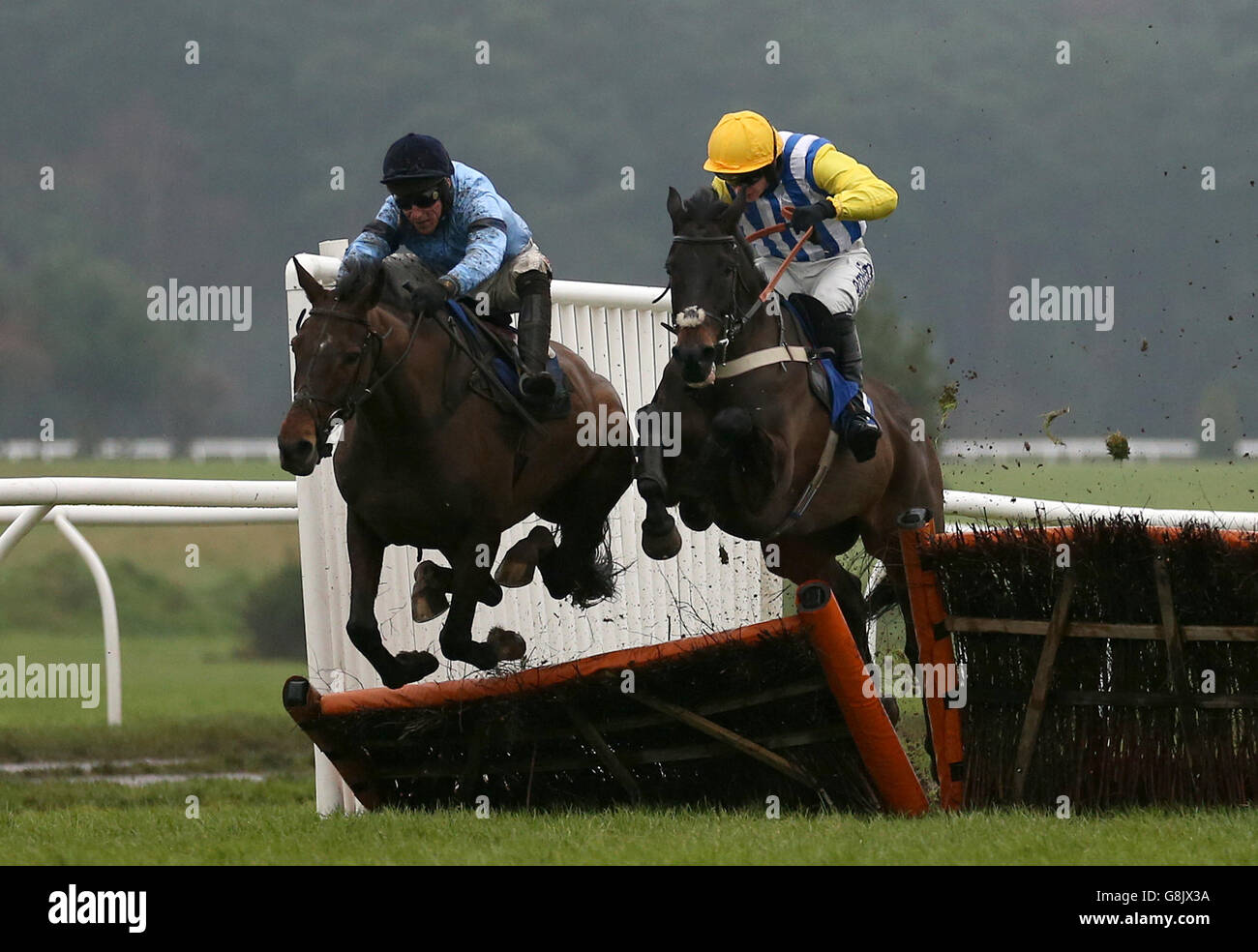 Market Rasen Racecourse Stock Photo - Alamy
