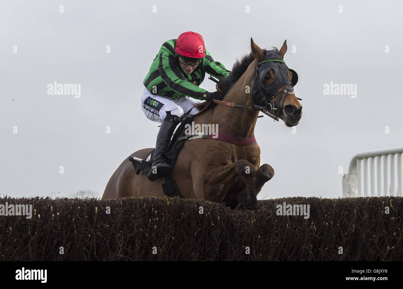 Johnny Og ridden by Hugo Hunt clears the last fence before going on to ...
