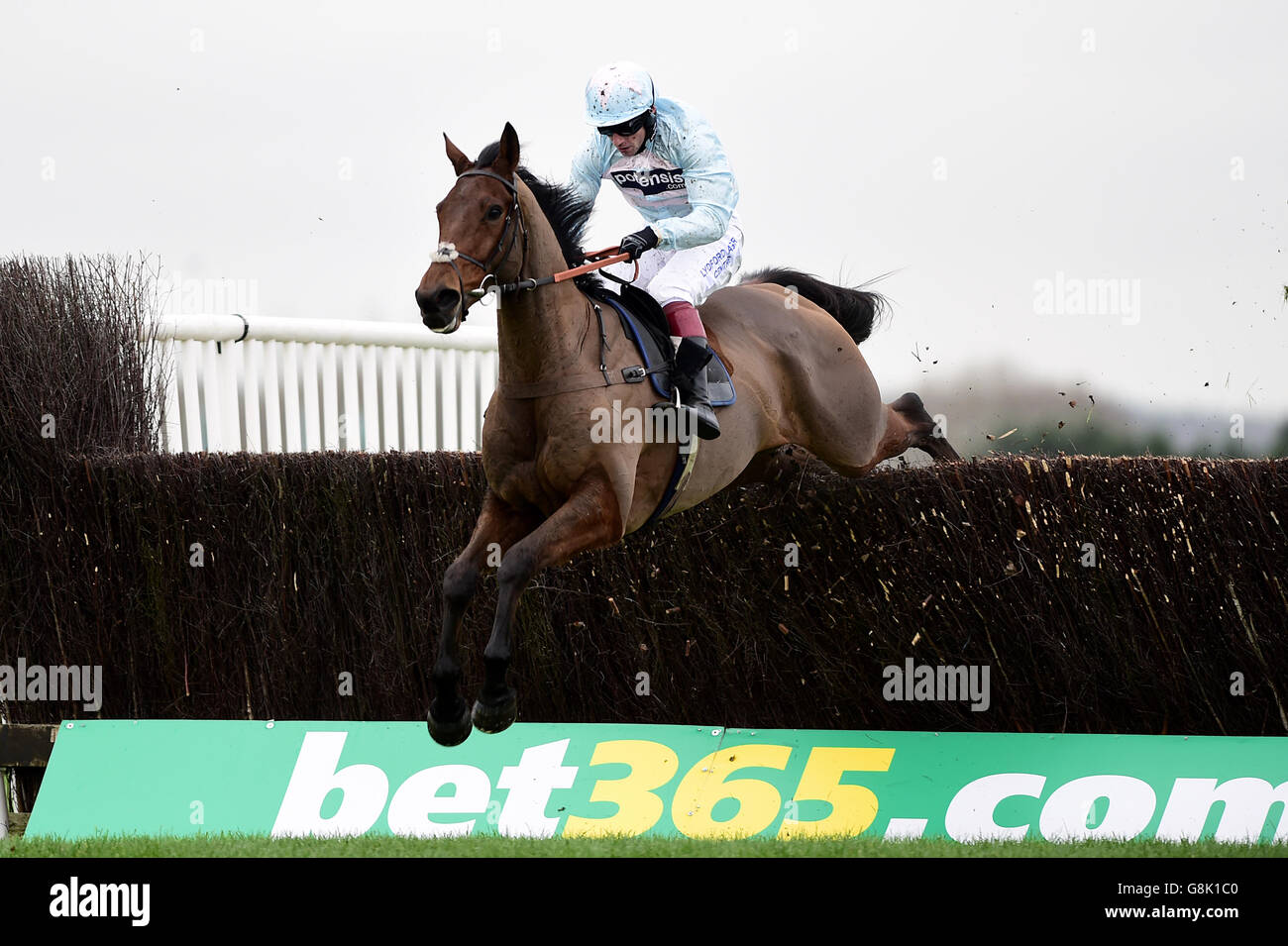 Wuff ridden by William Biddick in action during the Alan Mackintosh ...