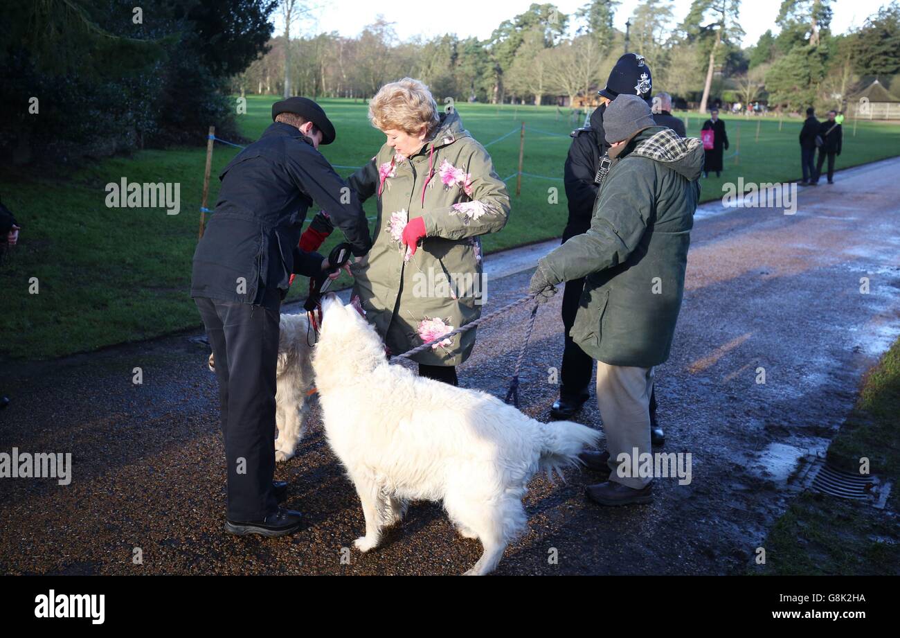 100th Anniversary Of The First World War High Resolution Stock ...