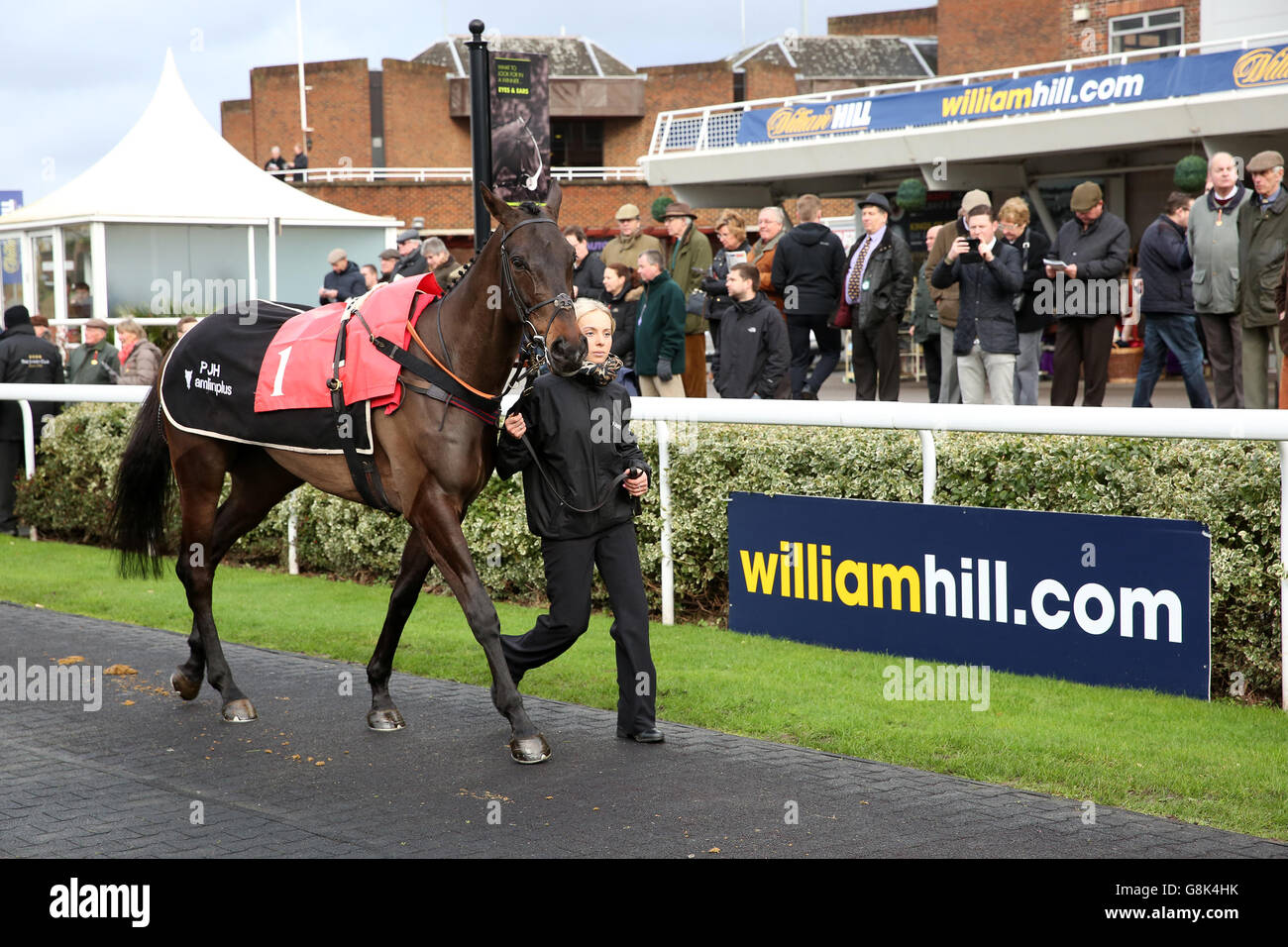 Boards parade ring hi-res stock photography and images - Alamy