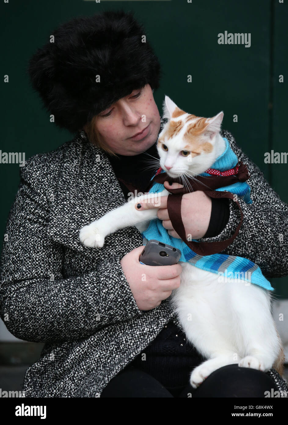 News animals cat hi-res stock photography and images - Alamy