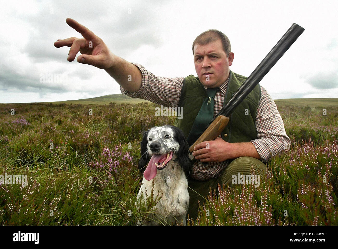 Gamekeepers dog hi-res stock photography and images - Alamy