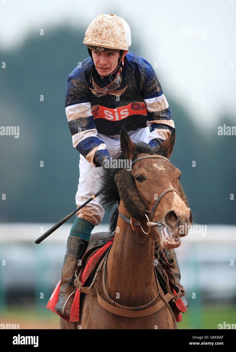 Horse Racing - Southwell Racecourse Stock Photo - Alamy