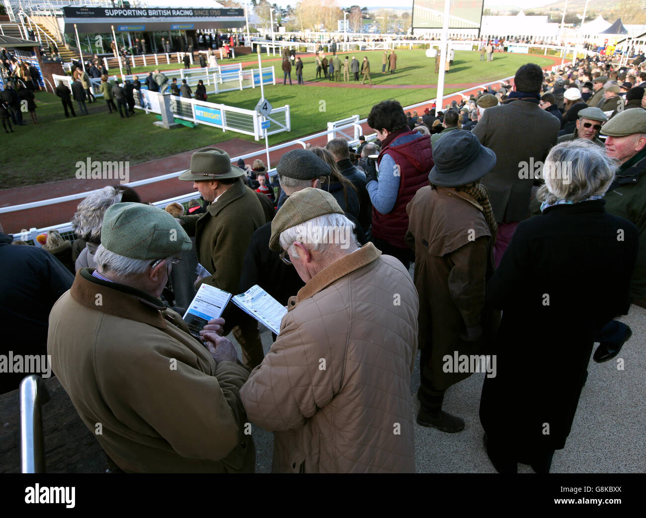 Races cheltenham check form hi-res stock photography and images - Alamy