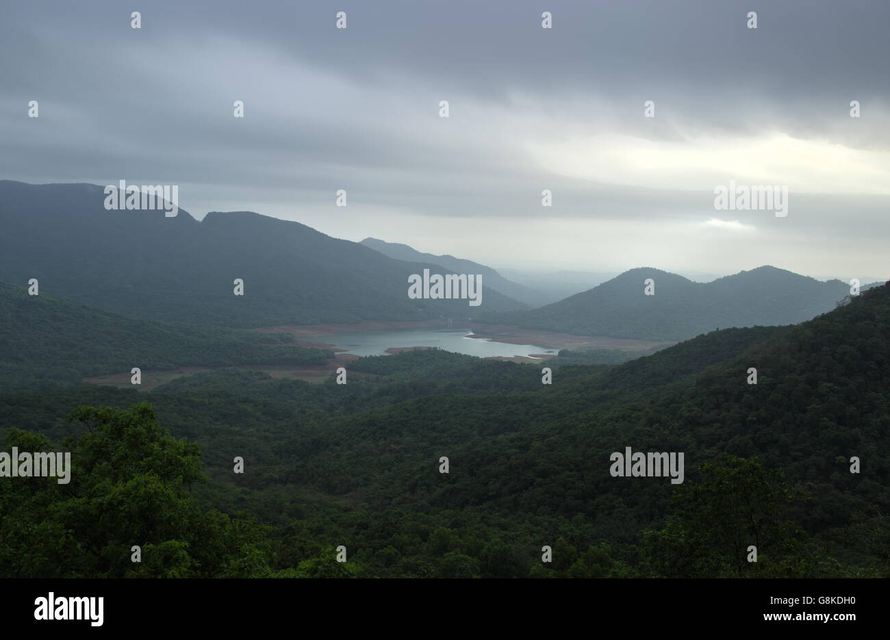 View of the Mahdei Tiger reserve. Chorla Ghats, Goa, India a 208 sq kms ...