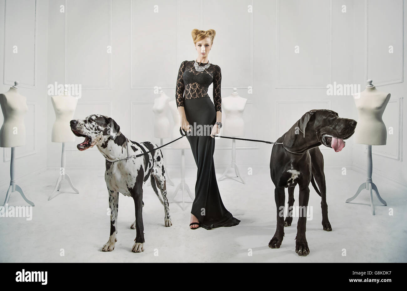 Elegant, serious lady with two big dogs Stock Photo - Alamy