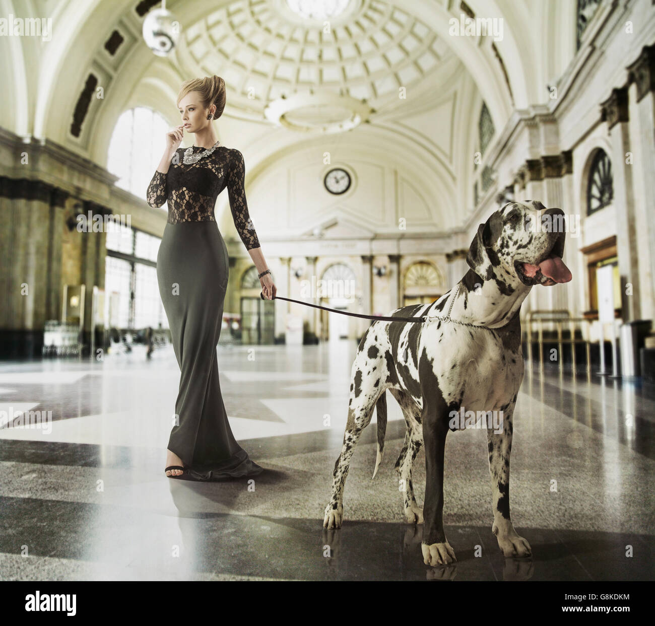 Smart young lady walking wit the giant dog Stock Photo - Alamy