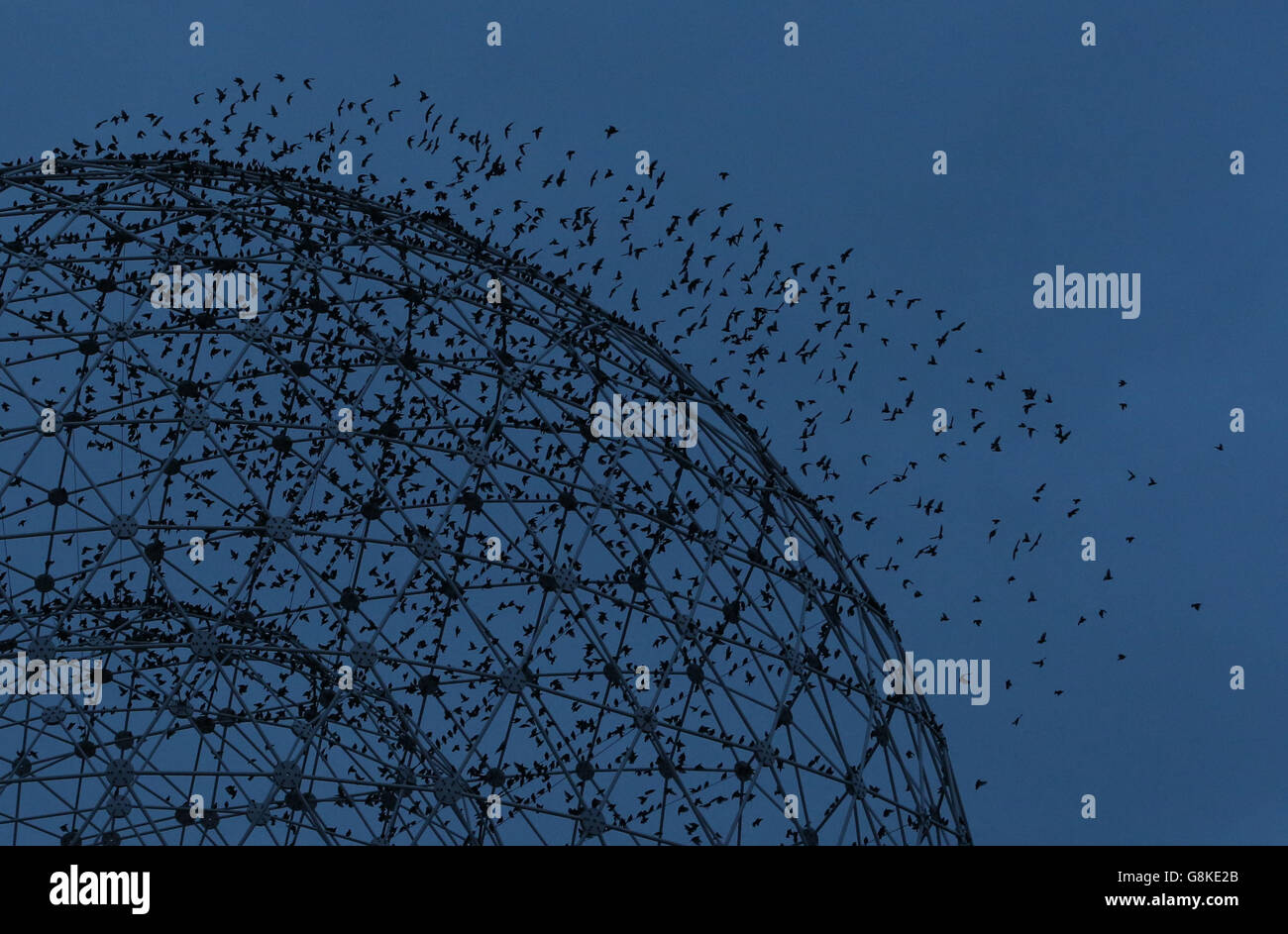Belfasts largest public artwork hi-res stock photography and images - Alamy