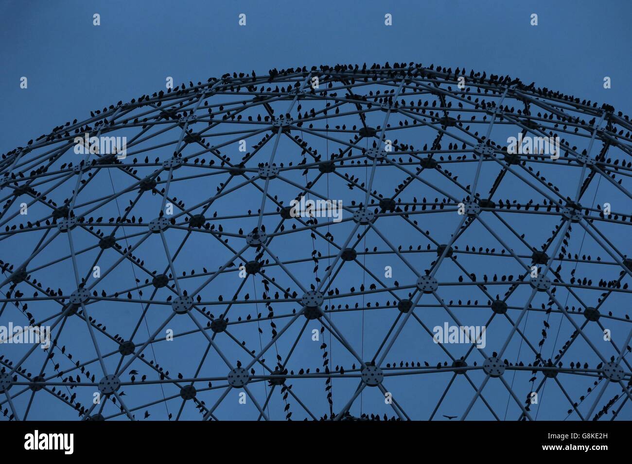 Belfasts largest public artwork hi-res stock photography and images - Alamy