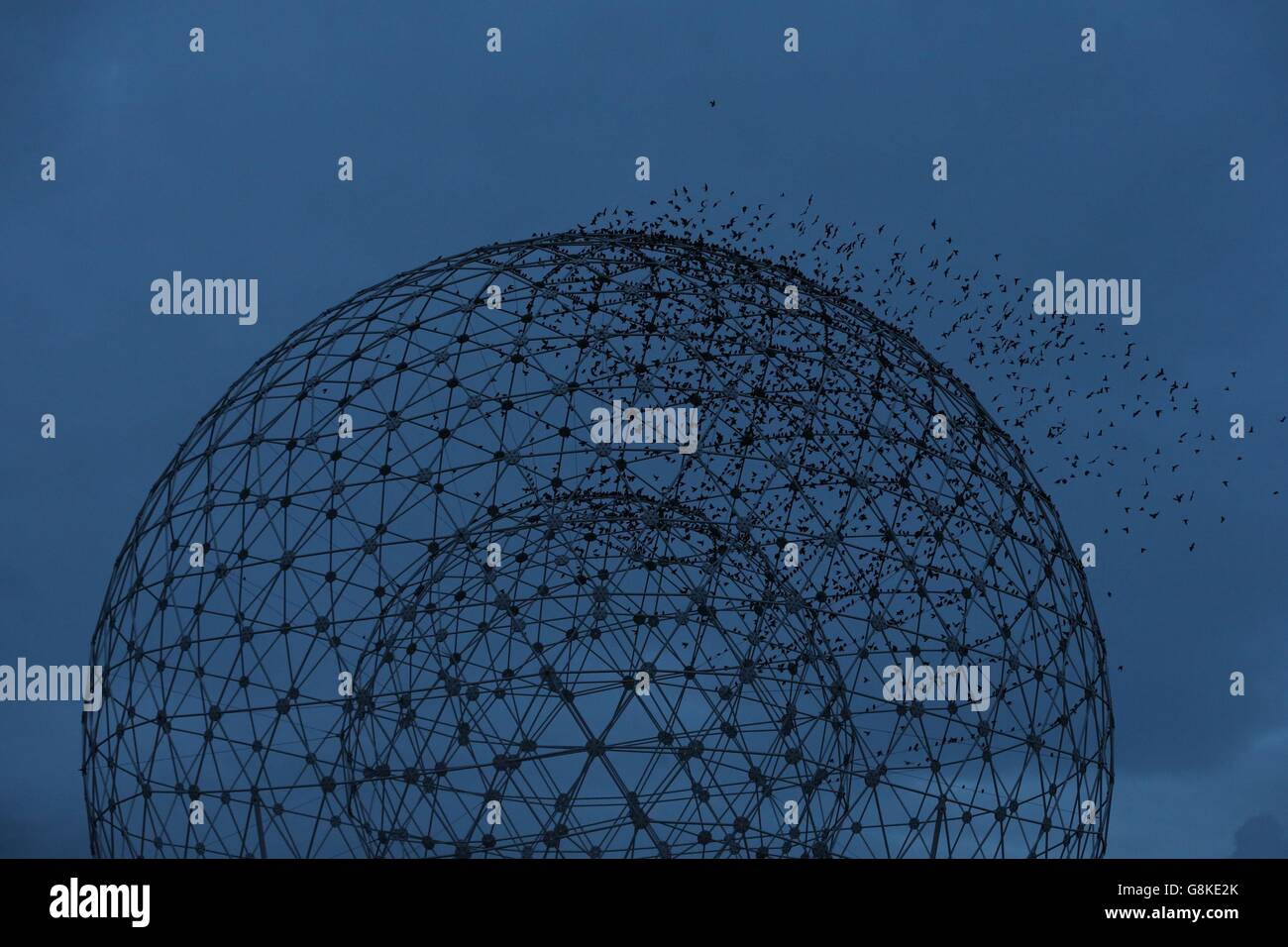 Belfasts largest public artwork hi-res stock photography and images - Alamy