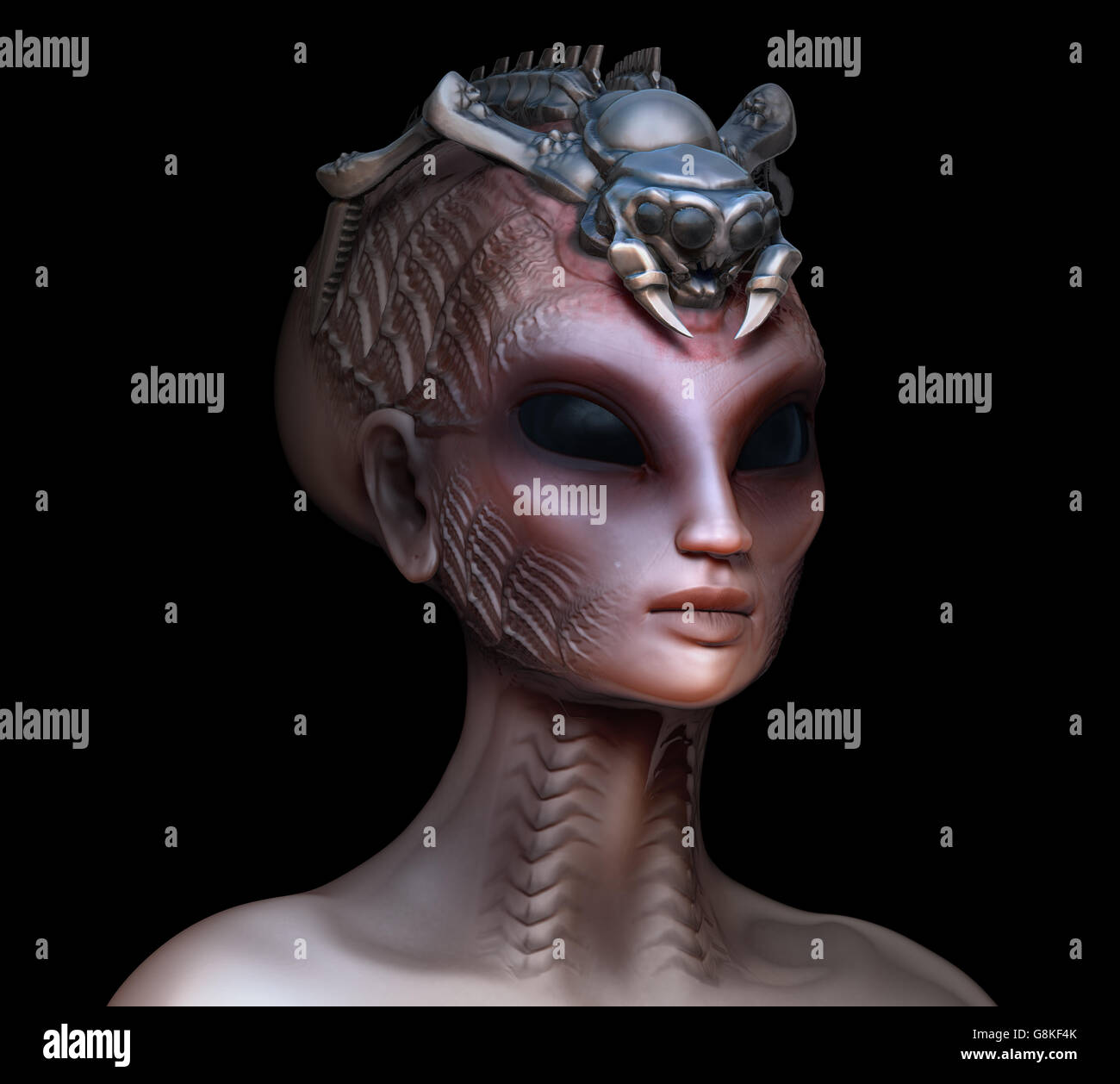 Human incursion hi-res stock photography and images - Alamy