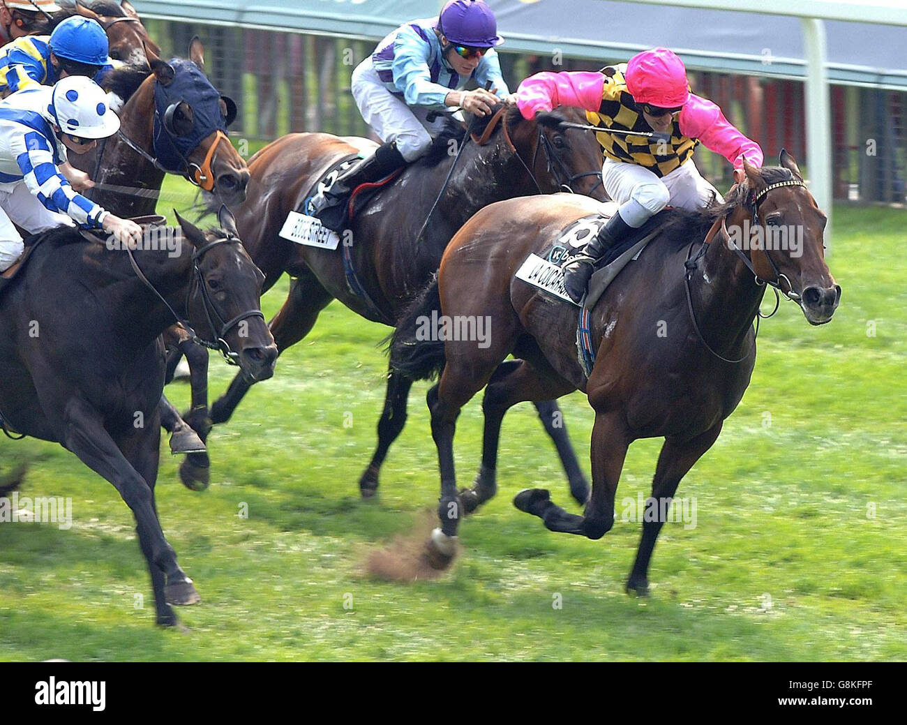 Horse Racing - 2005 Ebor Festival - York Racecourse Stock Photo - Alamy