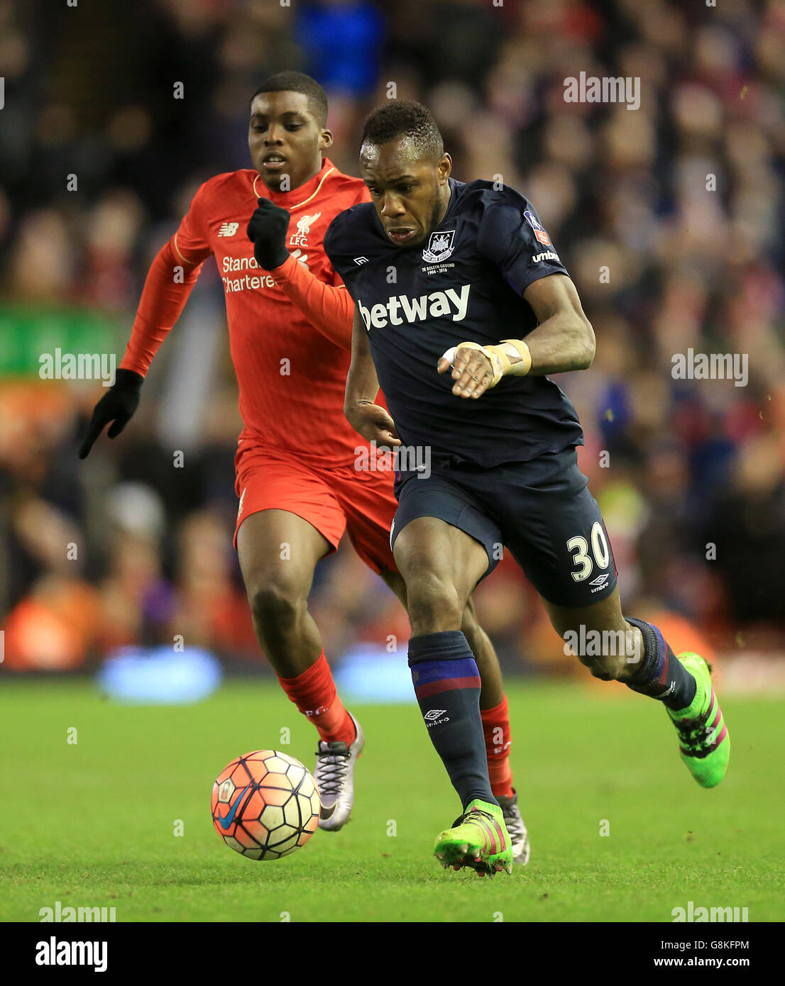 Ojo images hi-res stock photography and images - Alamy