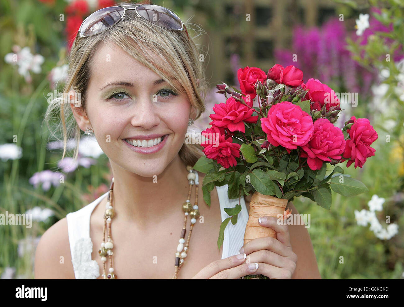 50th Anniversary Coronation Street Rose - Southport Flower Show Stock ...