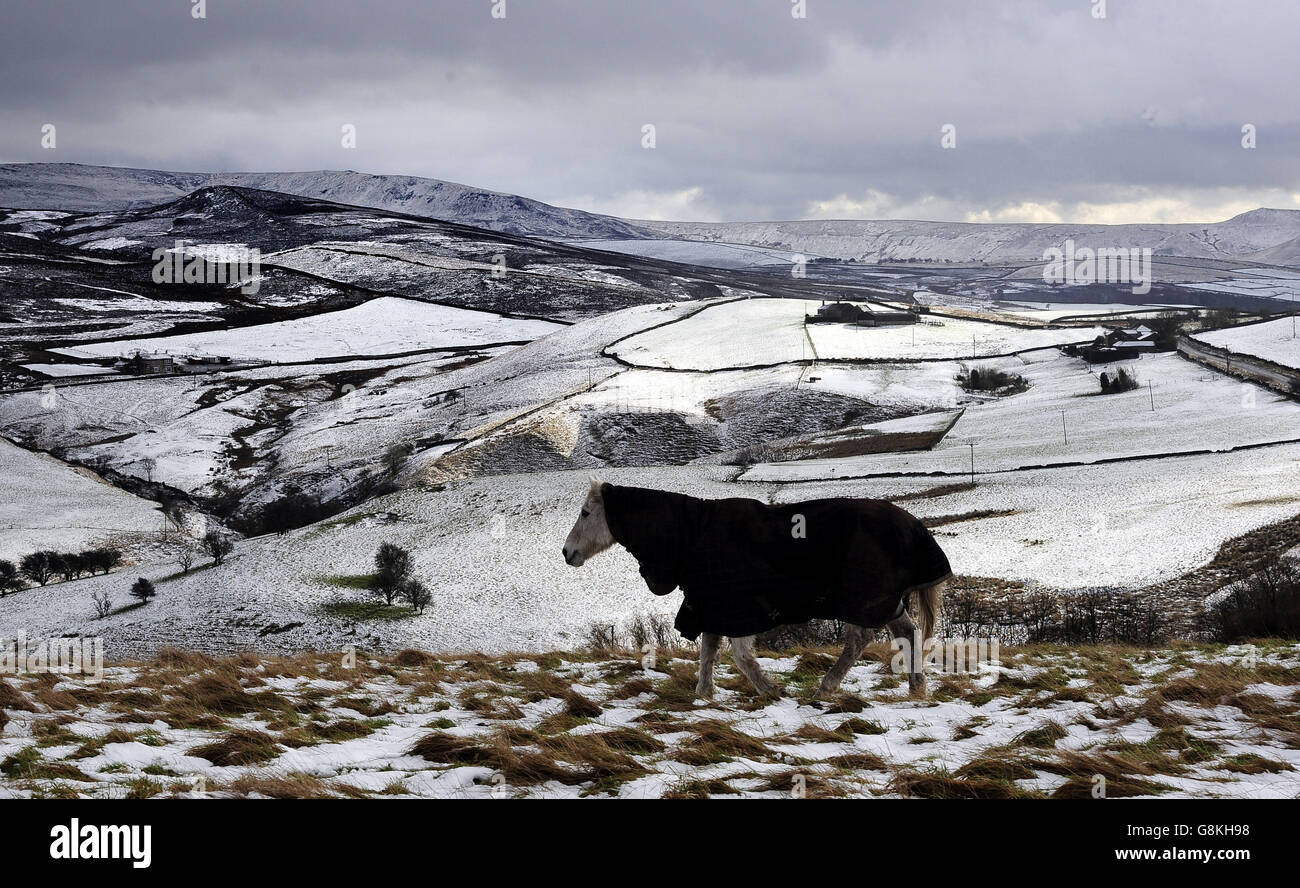 Warm weather snake hi-res stock photography and images - Alamy